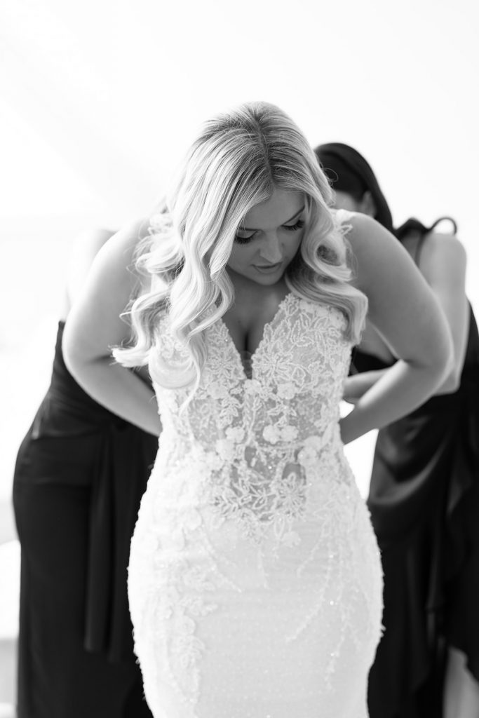 Katelyn & Chris' Maleny Wedding - Mondo Floral Designs